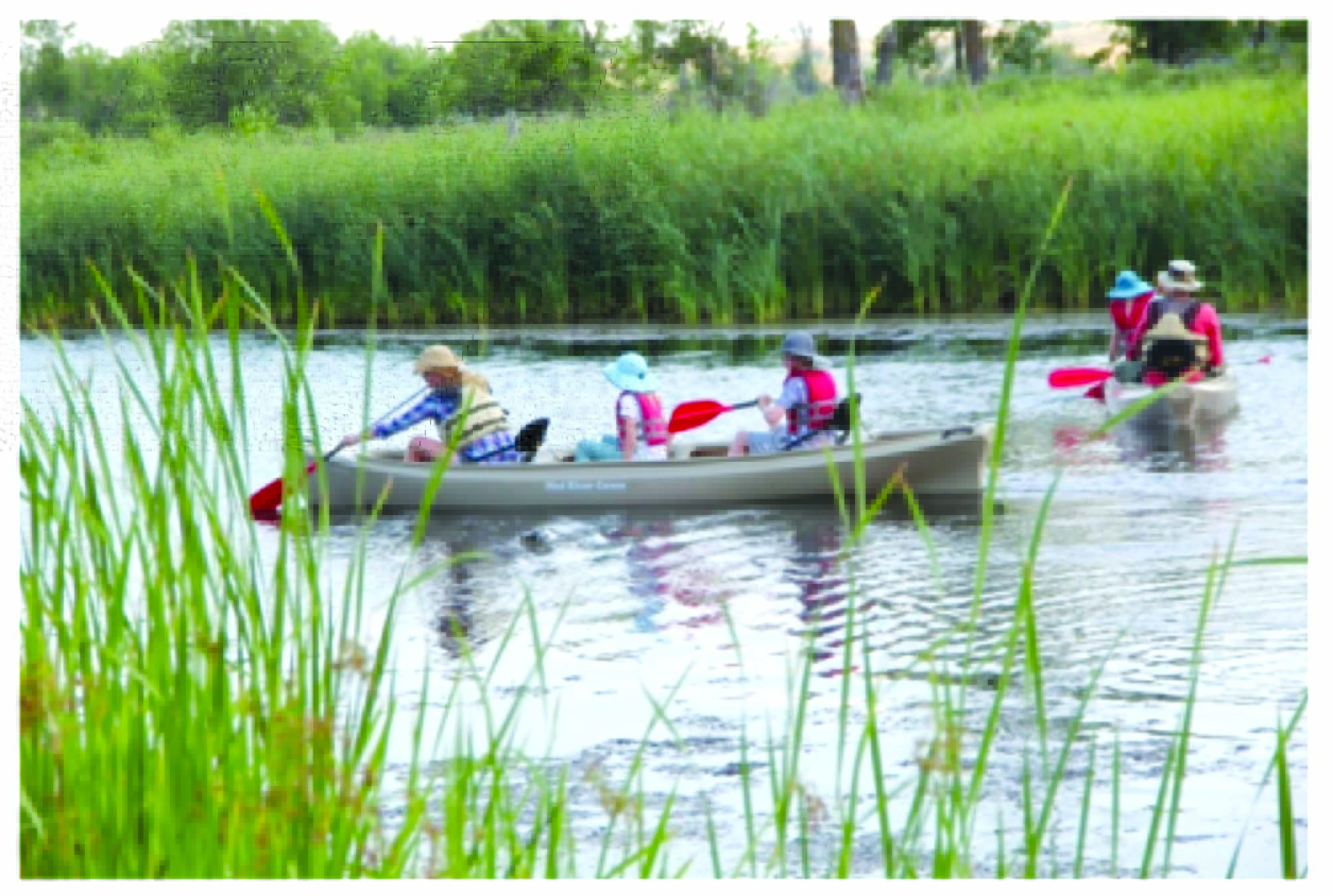 The History of “Dak Rats” – Northern Sentry