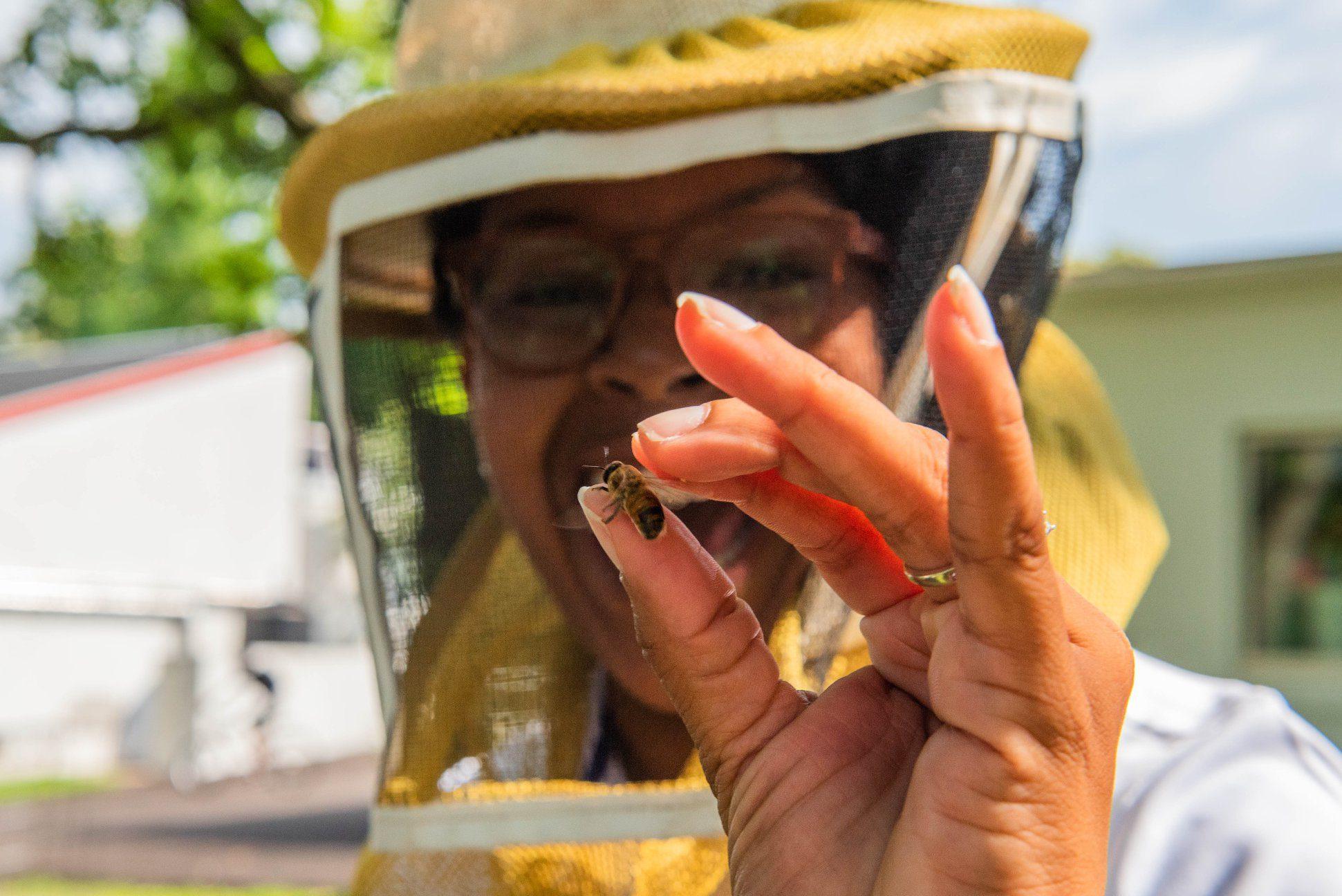 Minot AFB Pollinator Project: A Great Example of Partnership ...