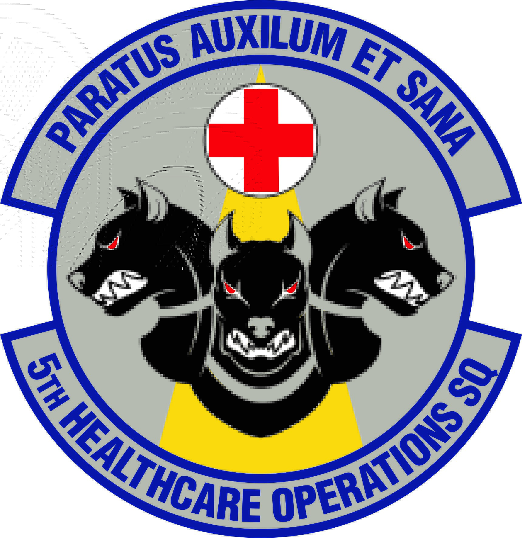 November Squadron of the Month: 5th Healthcare Operations Squadron ...